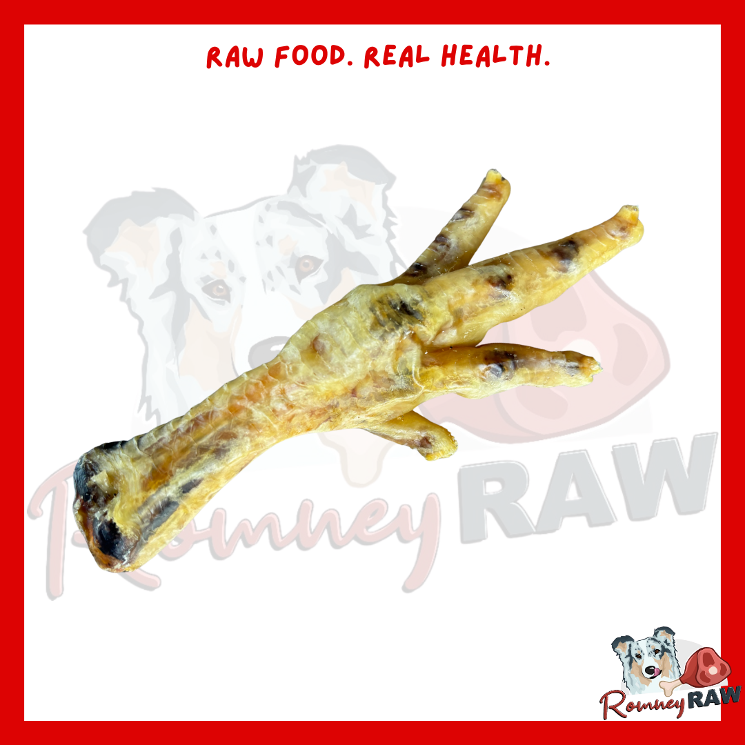 Anco Naturals - Chicken Foot - Single – Romney Raw