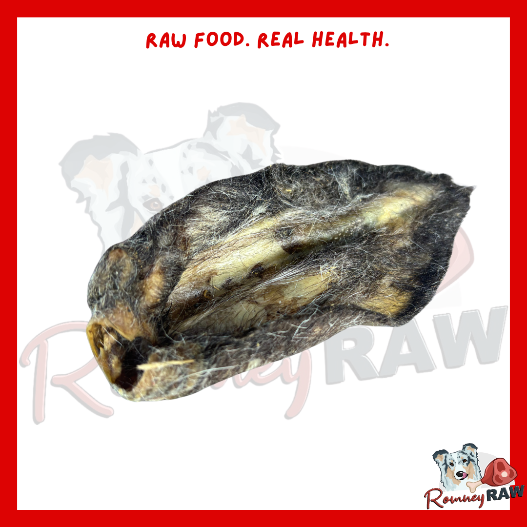 Anco Naturals - Hairy Lamb Ears - Single – Romney Raw
