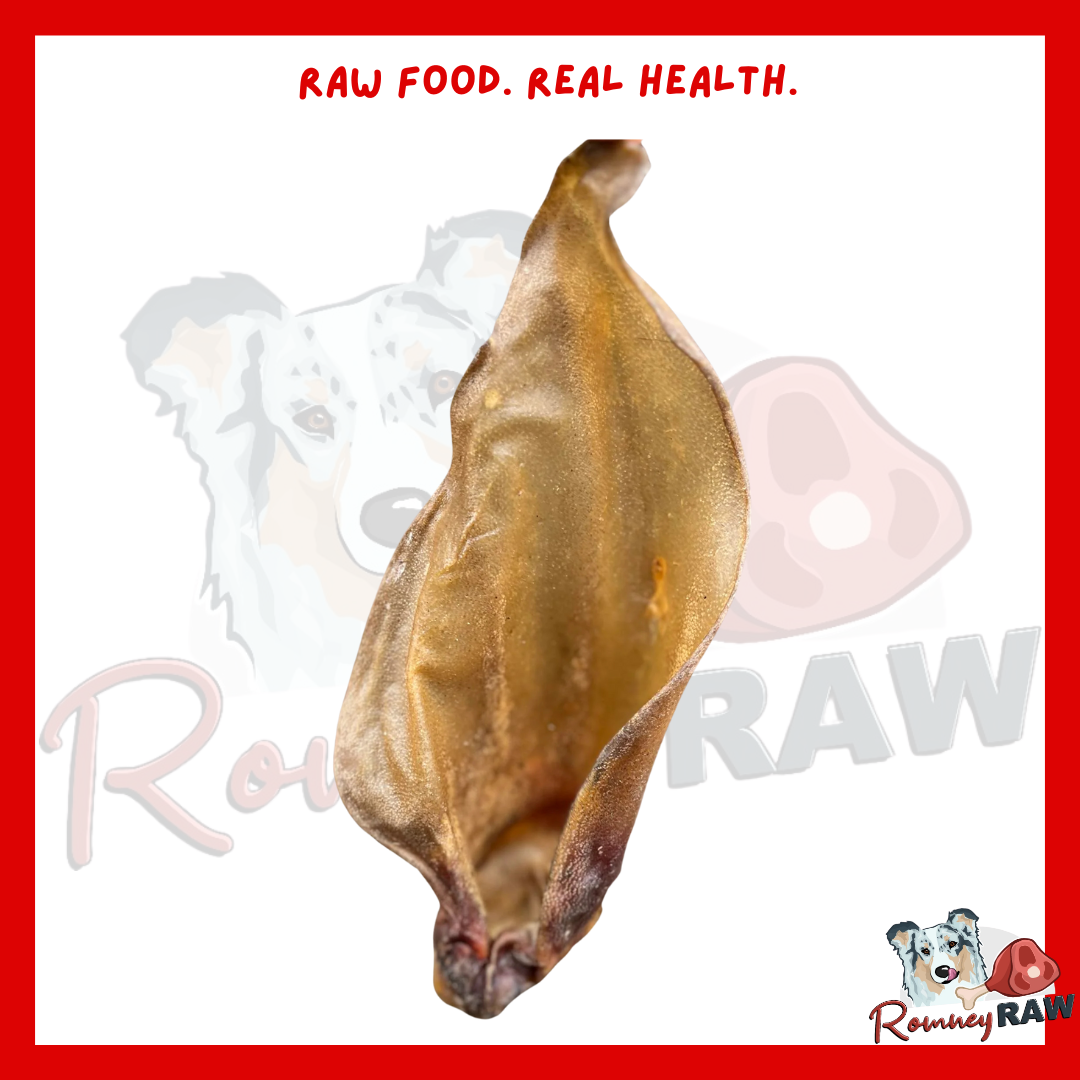 Anco Naturals - Meaty Buffalo Ears - Single – Romney Raw