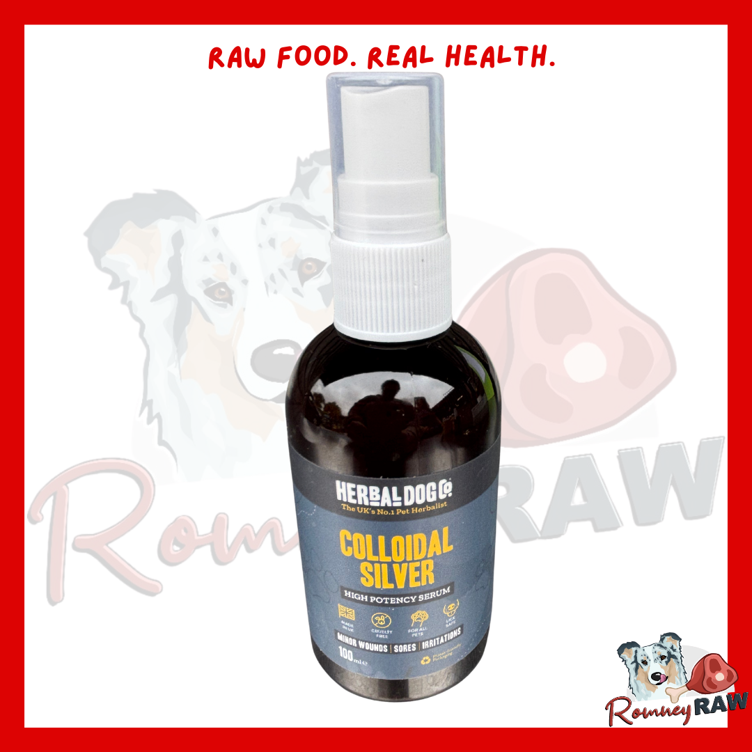 Herbal Dog Co - Colloidal Silver High Potency Serum - 100ml – Romney Raw