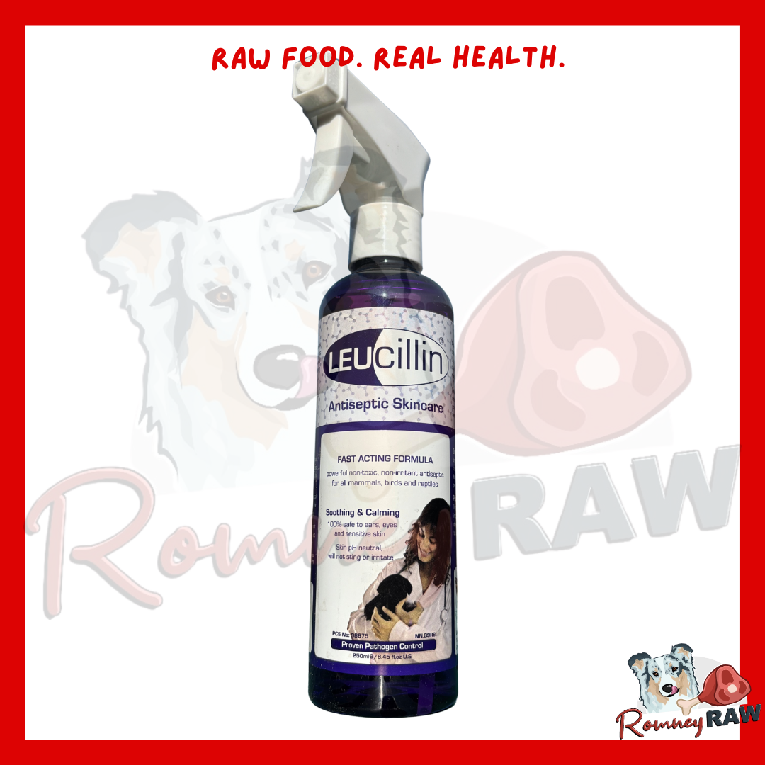 Leucillin - Antiseptic Skin Care Solution Spray 250ml – Romney Raw