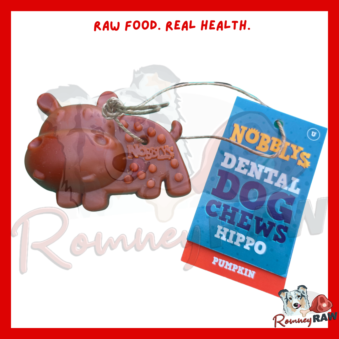 Nobbly's Animal Hippo Pumpkin Dog Chew 40g – Romney Raw
