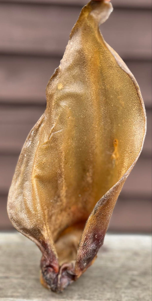 Anco Naturals Meaty Buffalo Ears – Romney Raw