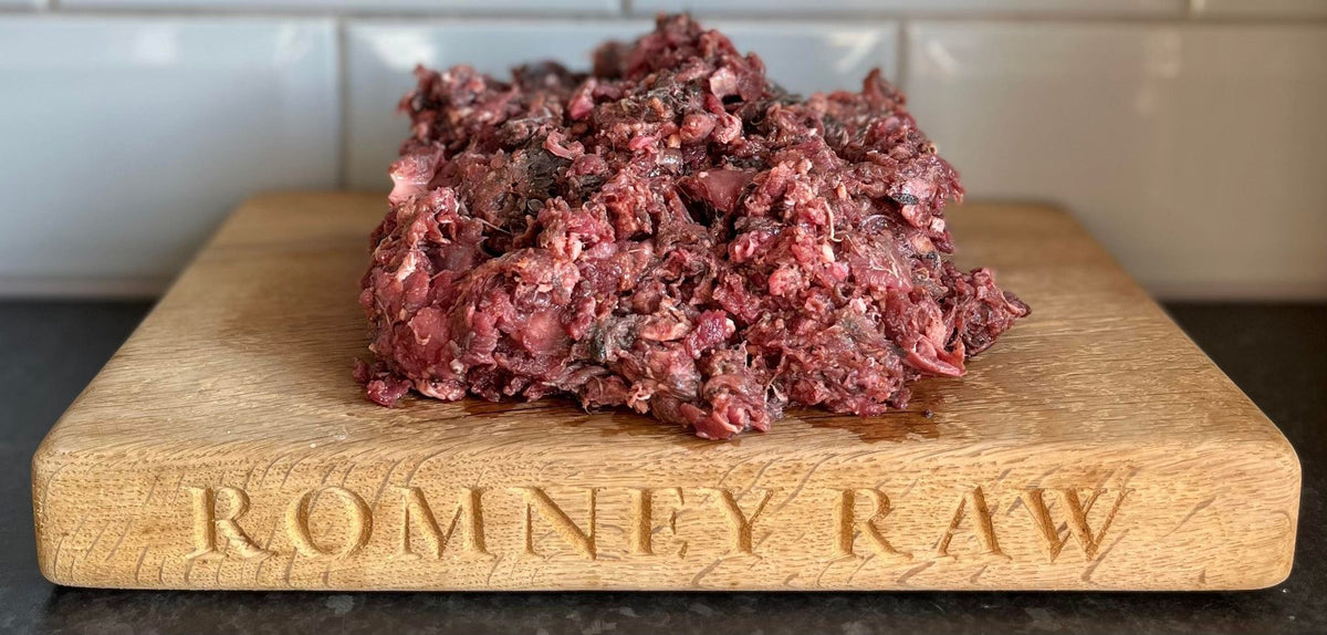 Henley Raw Ox & Duck Complete 500g – Romney Raw